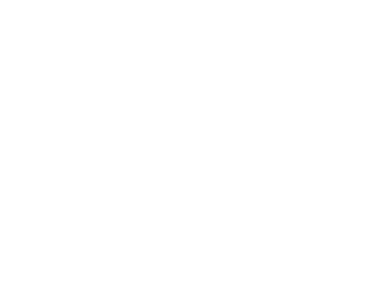 Phoenix Vision Strategies